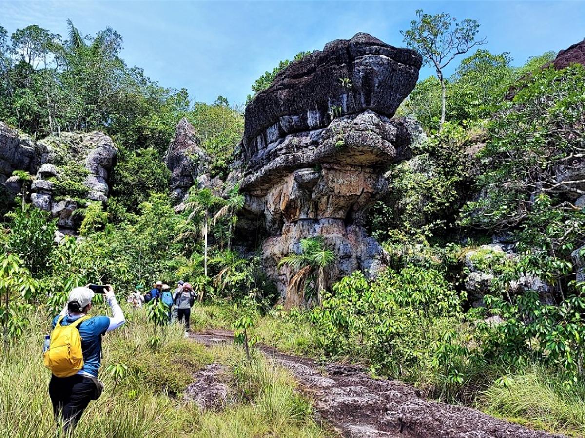 Turismo en San José del Guaviare: planes y sitios principales